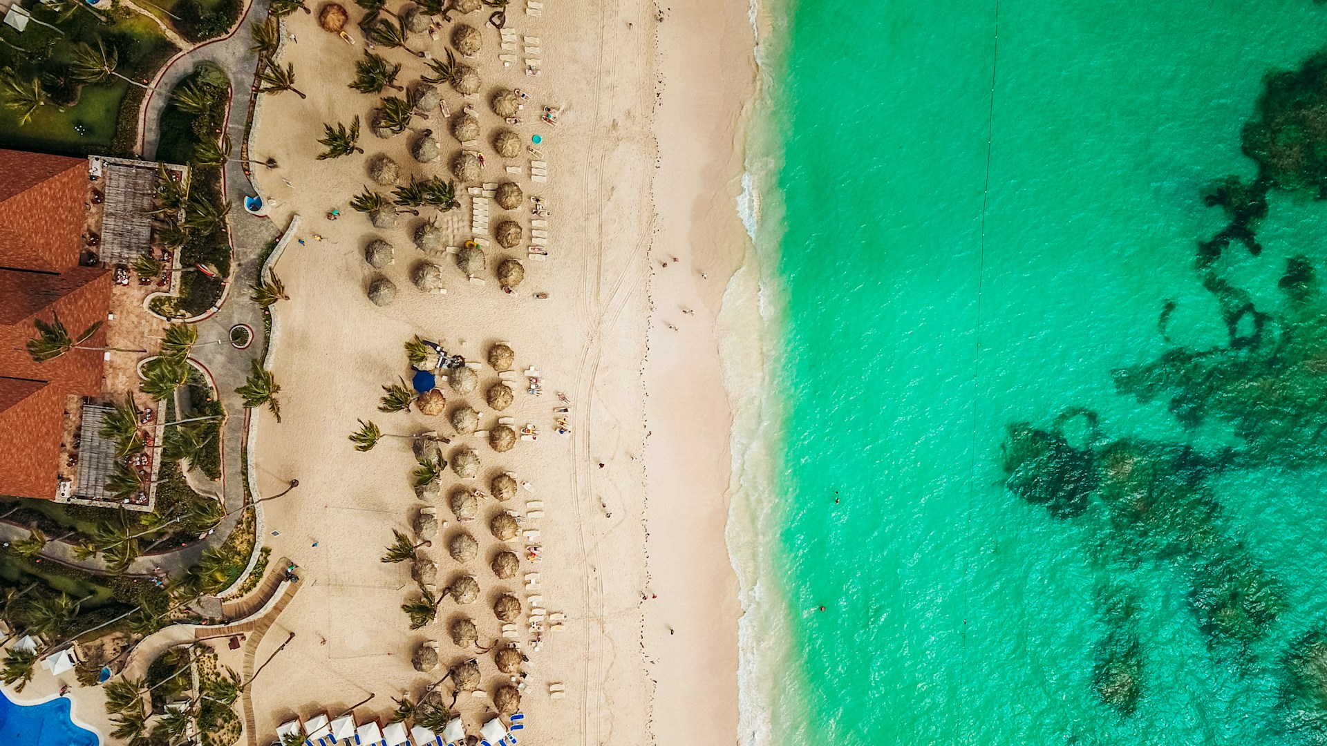 Dominikanische Republik Urlaub ab Frankfurt 2026 | All Inclusive mit ...